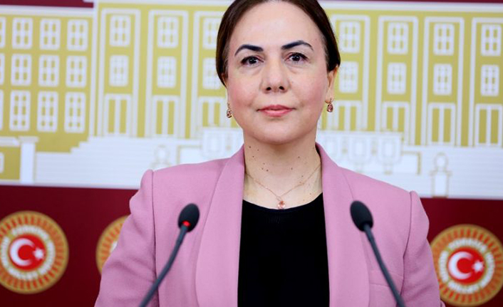 "Kanırta kanırta" sözleriyle gündemden düşmeyen AKP'li Zeynep Gül ...