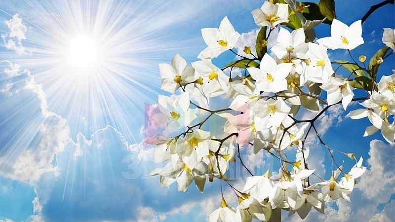 Türkiye'ye bahar ne zaman gelecek?