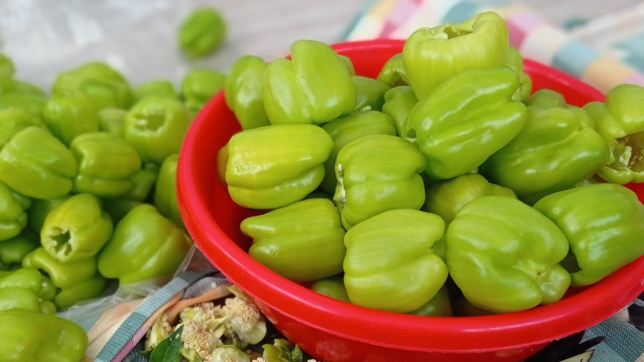 Çürümeden biber kurutma tekniği! Dolmalık biber kuruturken deneyin!